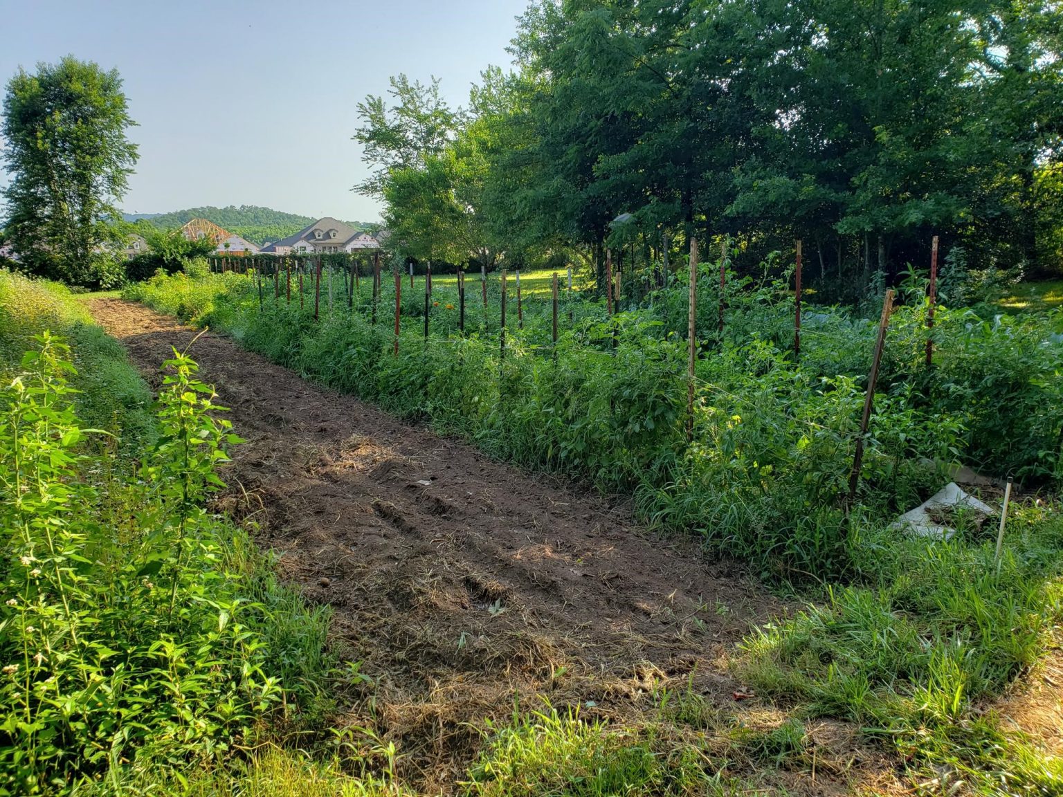 Farmland Listings in Northwest Arkansas | NWA Farm Link